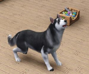 Acor dog – The Sims 3 Catalog