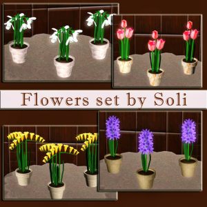 Flowers set - The Sims 3 Catalog