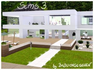 Modern house - The Sims 3 Catalog