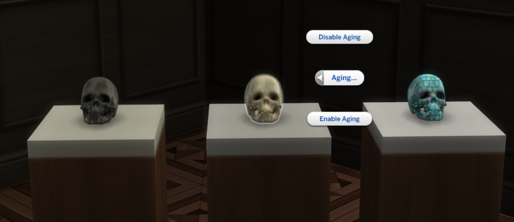 The Skull of Life and Death - The Sims 4 Catalog