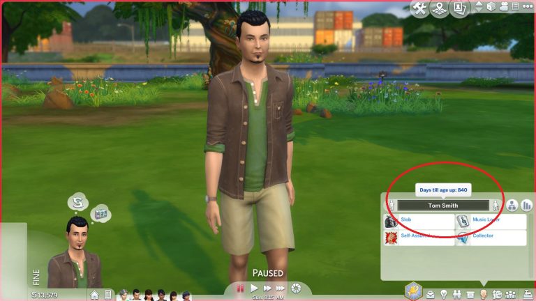Realistic Aging - The Sims 4 Catalog