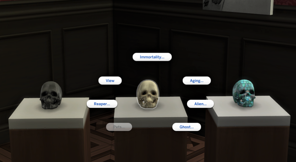 The Skull of Life and Death - The Sims 4 Catalog