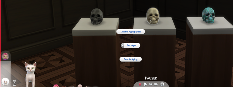 The Skull of Life and Death - The Sims 4 Catalog