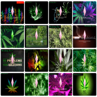Weed Loading Screen - The Sims 4 Catalog