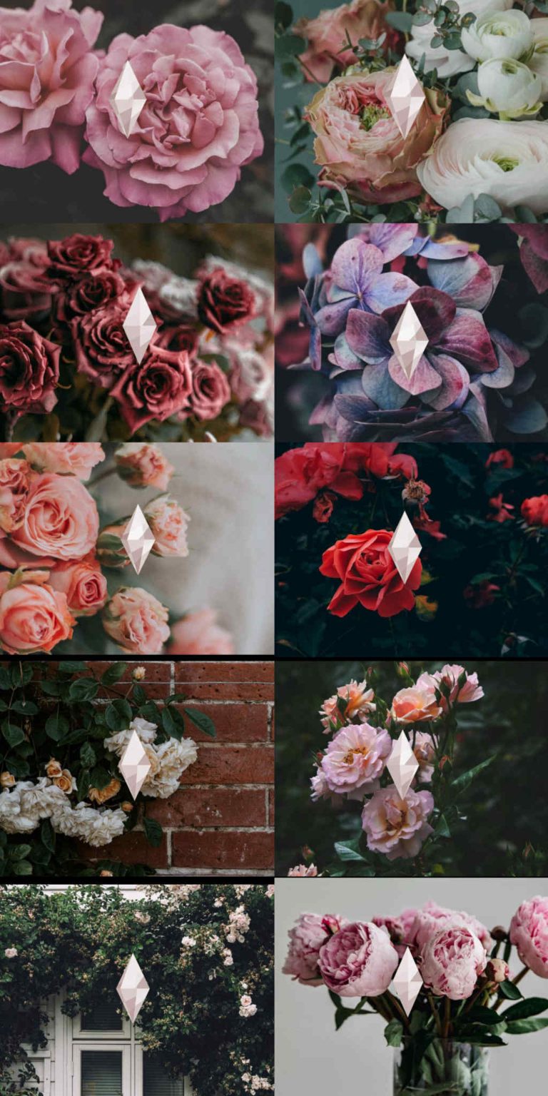 Astetic Flower Loading Screen - The Sims 4 Catalog